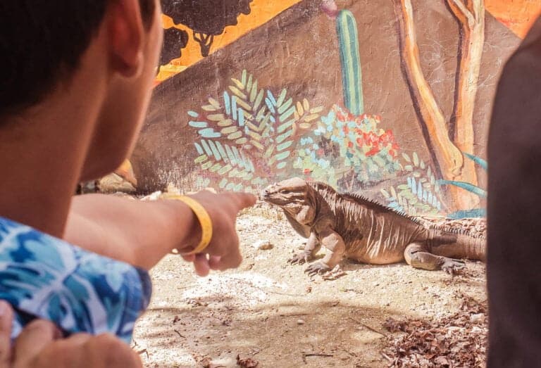 Scape Park | Parque Natural de Aventura en Punta Cana