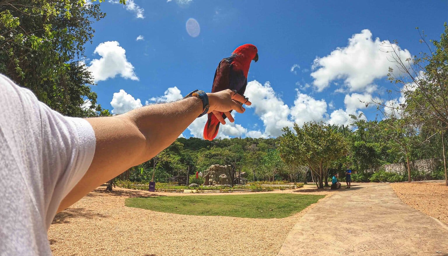 Scape Park | Parque Natural de Aventura en Punta Cana